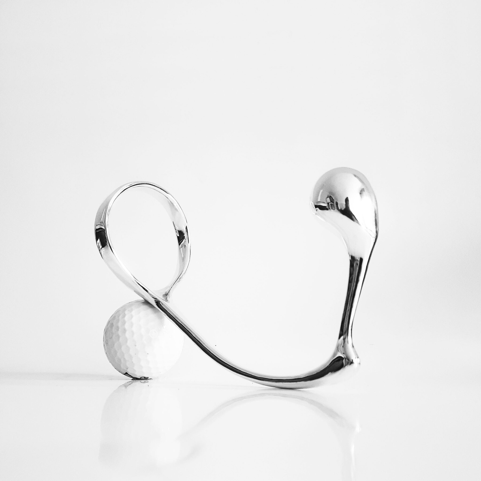 Silver Cock Ring With Prostate Stimulating Butt Plug “Stroke Play”