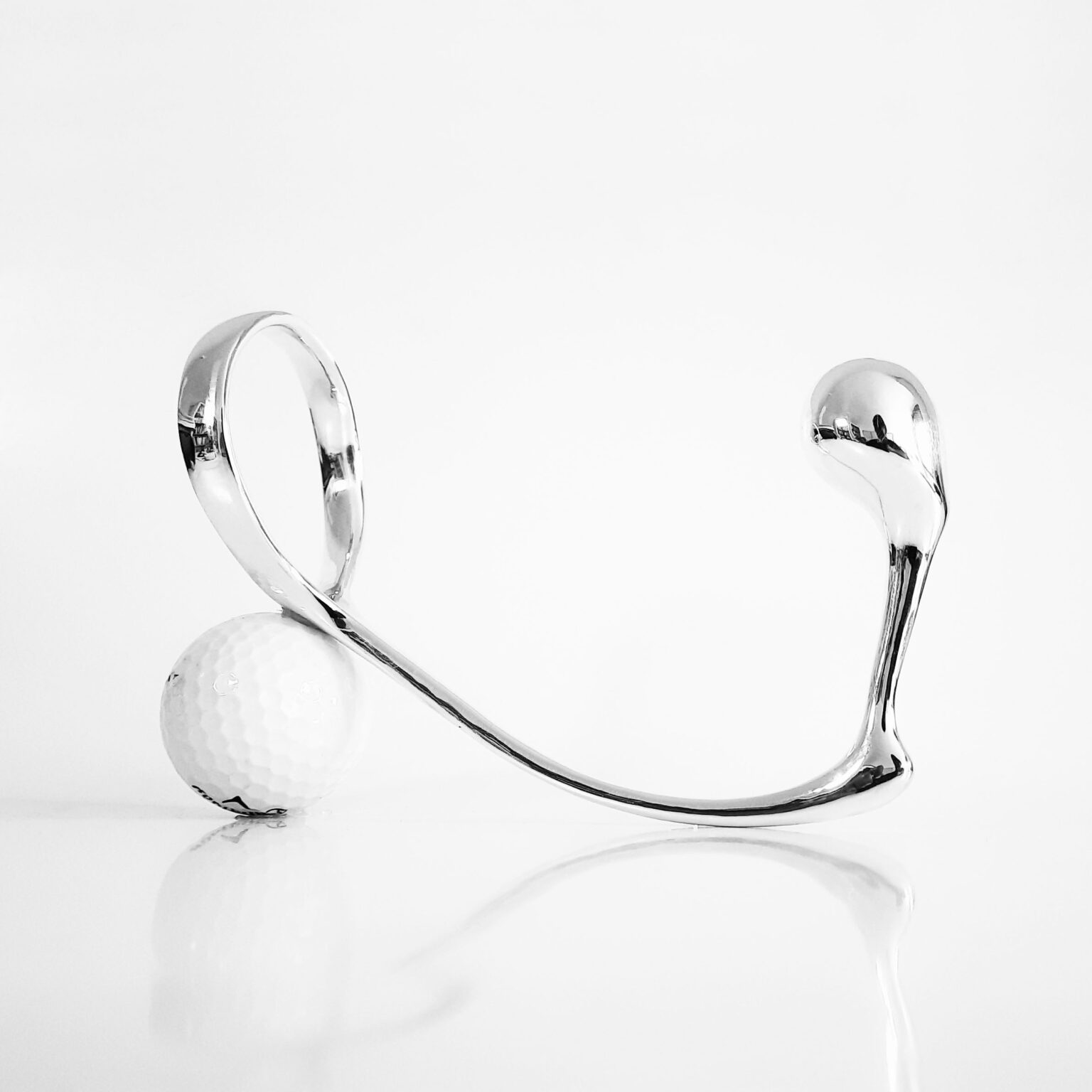 Silver Cock Ring With Prostate Stimulating Butt Plug “Stroke Play”