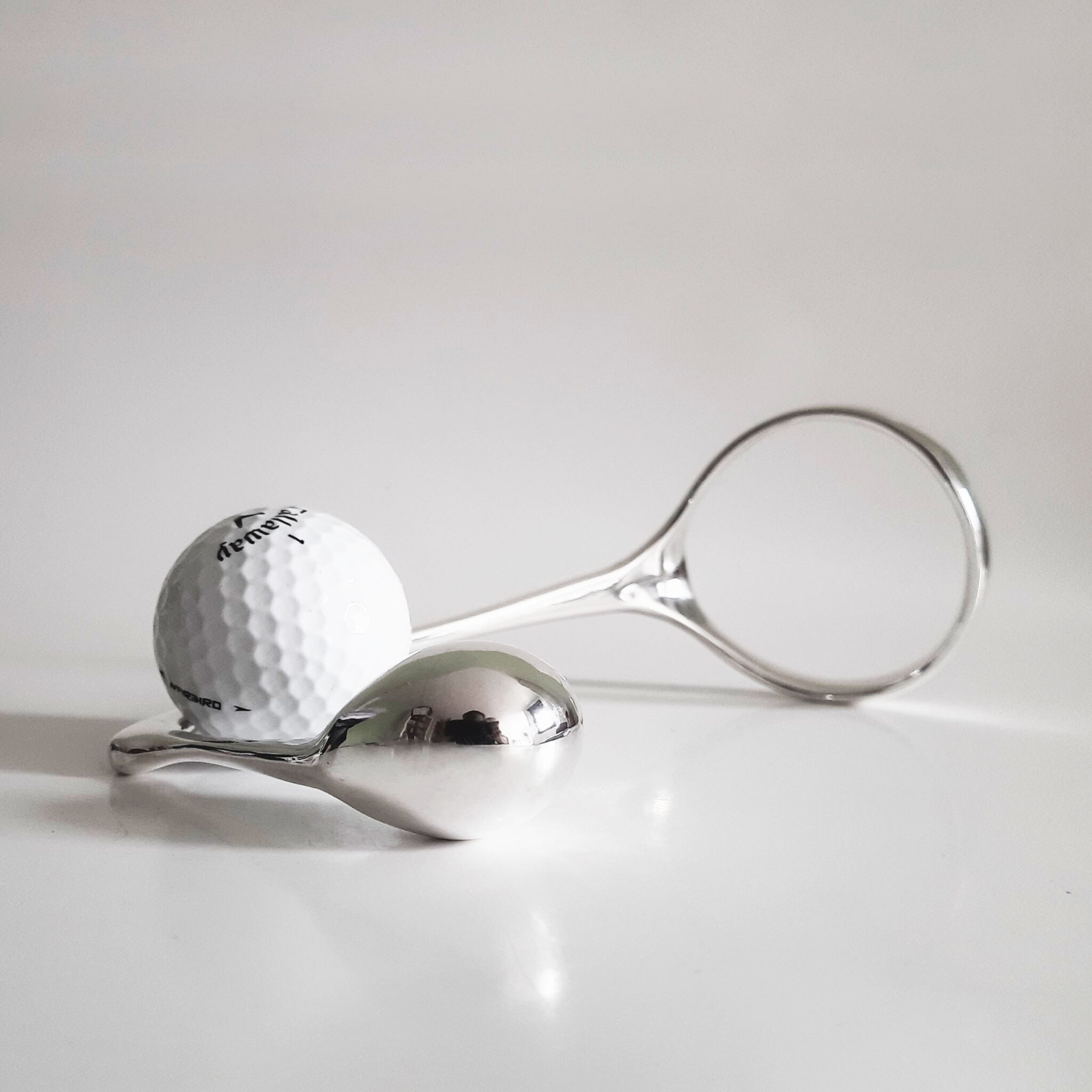 Silver Cock Ring With Prostate Stimulating Butt Plug “Stroke Play”